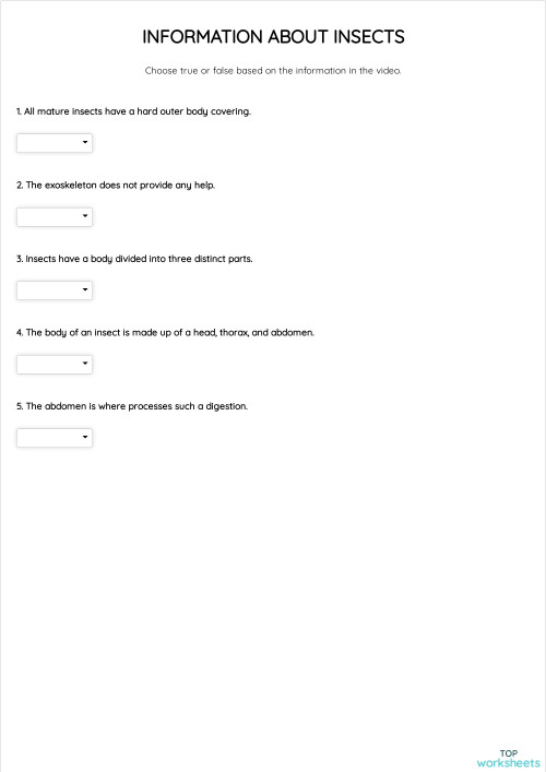 INFORMATION ABOUT INSECTS. Interactive worksheet | TopWorksheets