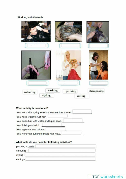 Hair activity. Interactive worksheet | TopWorksheets