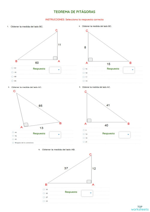 Teorema de pitágoras. Ficha interactiva | TopWorksheets
