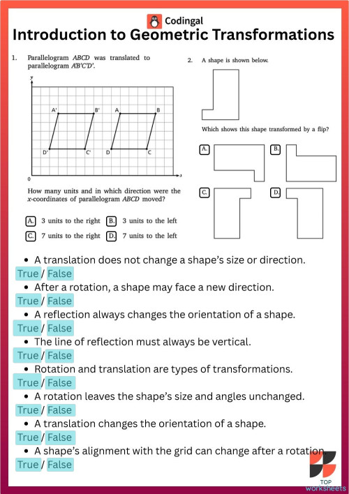 M_G05M22L59_WE02_Introduction_to_Geometric_Transformations_6. Interactive worksheet | TopWorksheets