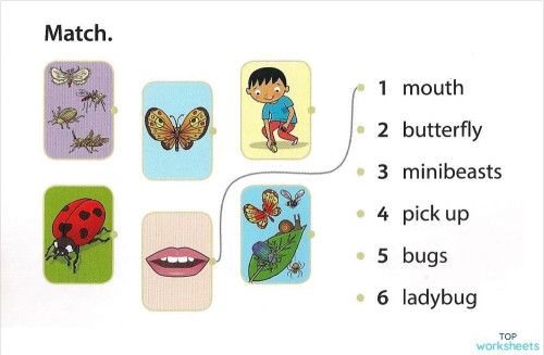 Computer Slow Graphic Comprehension. Interactive worksheet | TopWorksheets