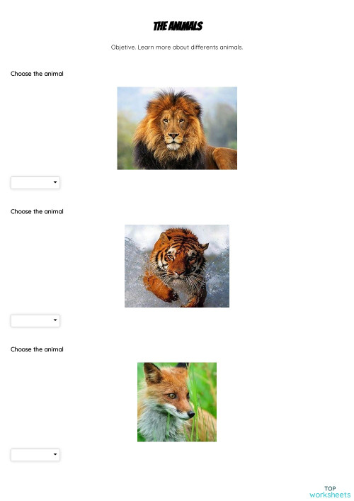 The animals. Interactive worksheet | TopWorksheets