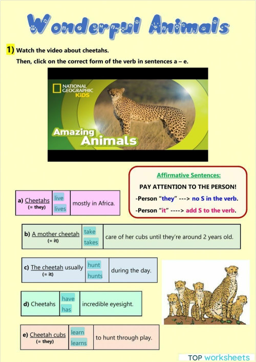 Wonderful Animals. Interactive worksheet | TopWorksheets