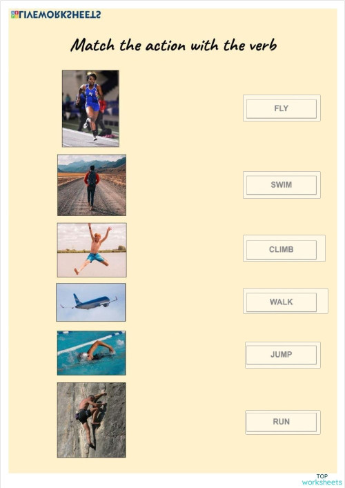 Morphology: interactive worksheets and online exercises | TopWorksheets