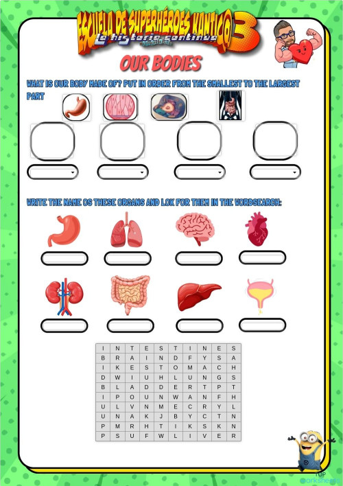 OUR BODIES. Interactive worksheet | TopWorksheets