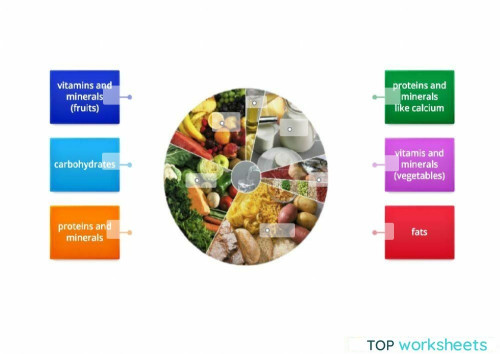The food wheel. Interactive worksheet | TopWorksheets