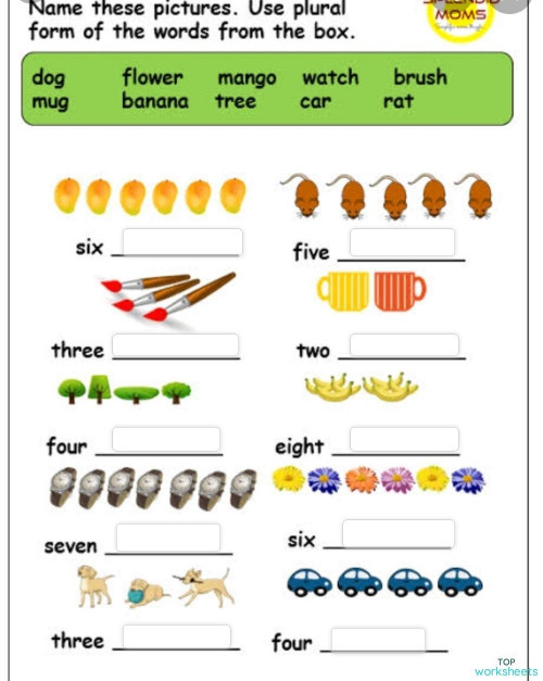 Singular and plural. Interactive worksheet | TopWorksheets