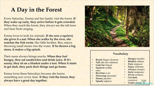 A Day in the Forest_Reading Activity. Interactive worksheet | TopWorksheets