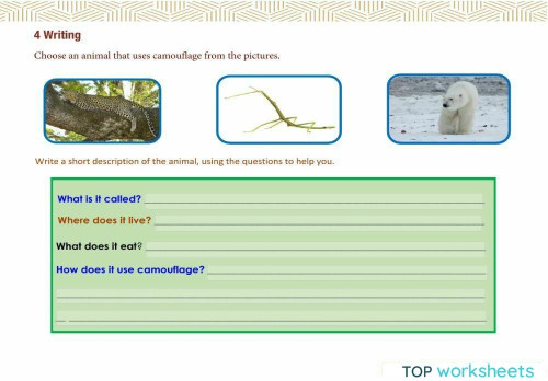 Access 6 - T3- U8- L2 - Act 4. Interactive worksheet | TopWorksheets