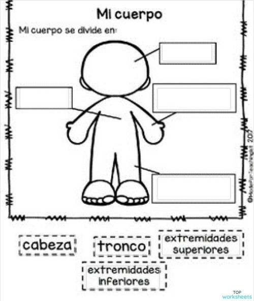 Partes Del Cuerpo Articulaciones Ficha Interactiva Partes Del