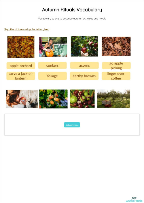 Autumn Rituals Vocabulary. Interactive worksheet | TopWorksheets