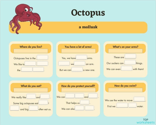 Meet the animals - Octopus. Interactive worksheet | TopWorksheets
