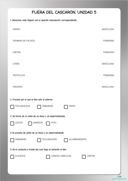 EL CUERPO HUMANO. Ficha interactiva | TopWorksheets