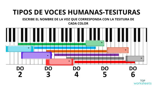 TESITURAS VOCES HUMANAS. Ficha interactiva | TopWorksheets