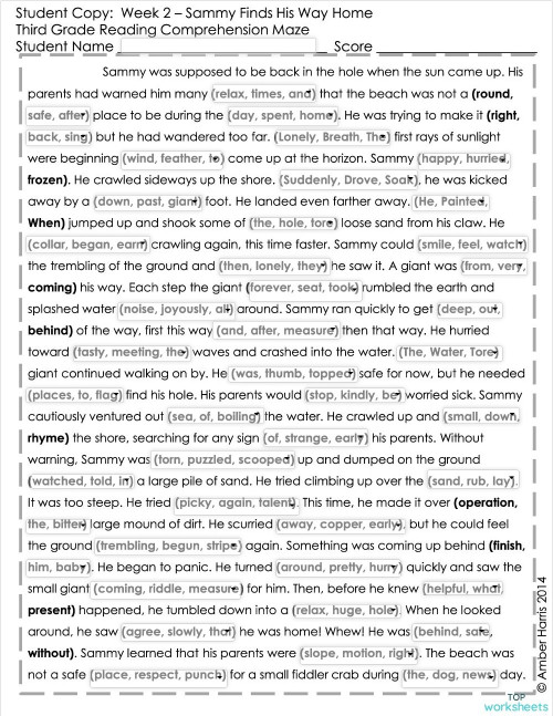 Read #1 Sammy Finds His Way Home. Interactive worksheet | TopWorksheets