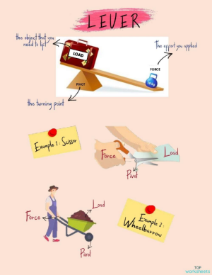 Year 6 Science | Lever. Interactive worksheet | TopWorksheets