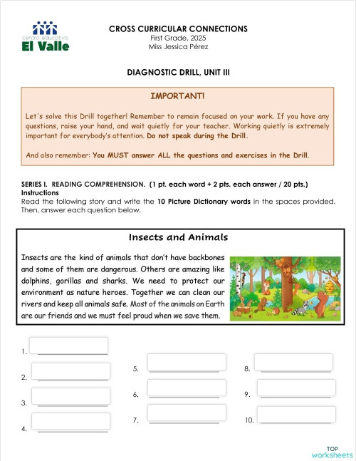 III FIRST GRADE: CROSS CURRICULAR DD. Interactive worksheet | TopWorksheets
