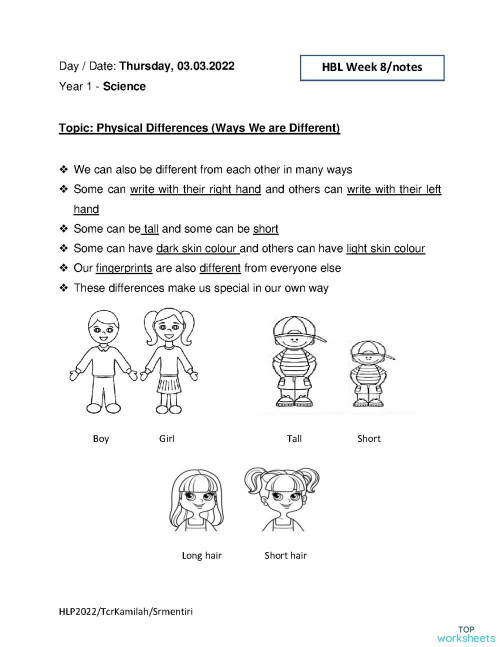 Science Yr 1 - Physical differences. Interactive worksheet | TopWorksheets