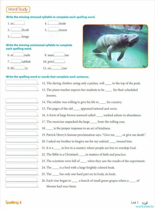 List 1: Word Study Pg 3. Interactive worksheet | TopWorksheets