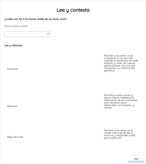 Lee y contesta. Ficha interactiva | TopWorksheets