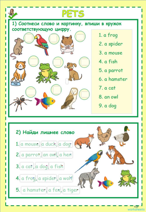 Interactive worksheets and online exercises free creator | TopWorksheets