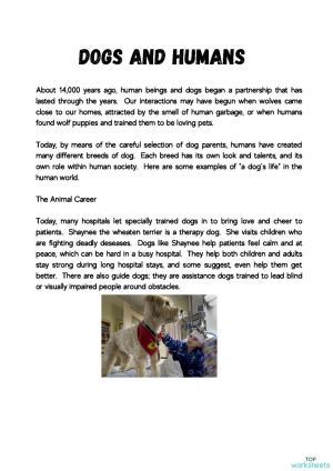 Dogs and Humans. Interactive worksheet | TopWorksheets