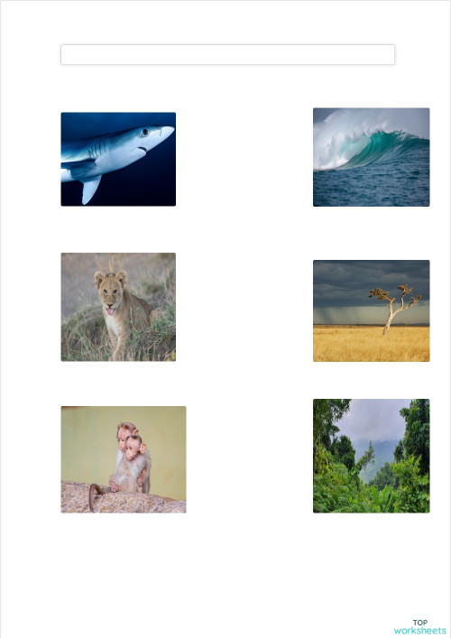 Animales y su hábitat. Ficha interactiva | TopWorksheets