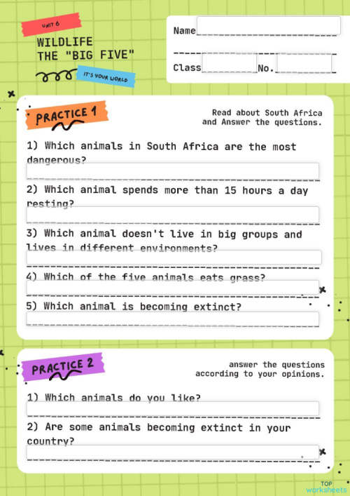 Unit 6 - Reading - Wildlife: The "Big Five" ใบงานเชิงโต้ตอบ | TopWorksheets