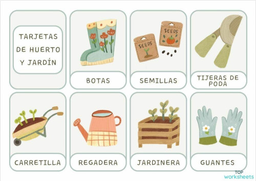 Tarjetas de aprendizaje de vocabulario de huerto y jardín ilustrativo ...