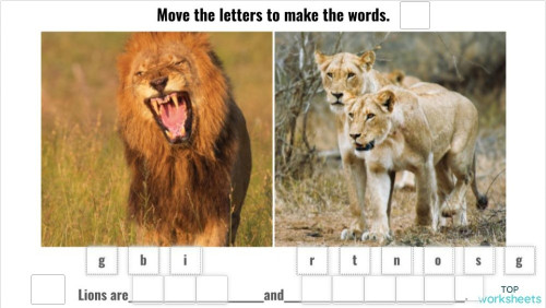 First Grade ELPA Writing Practice Ecology. Interactive worksheet ...