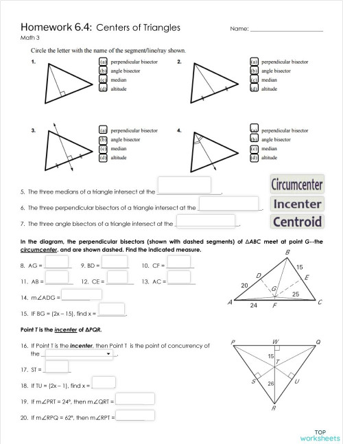 Centers of Triangles (Copied). Interactive worksheet | TopWorksheets