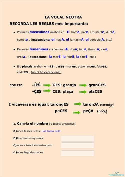 Els plurals en català. Fitxa interactiva | TopWorksheets