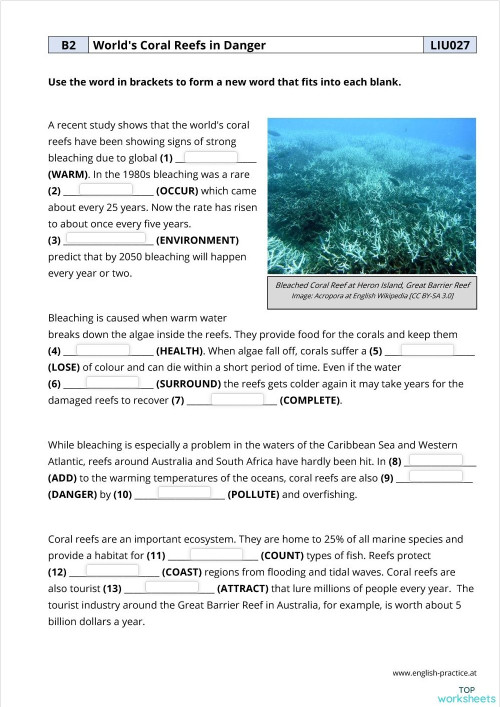 Word formation 1. Interactive worksheet | TopWorksheets