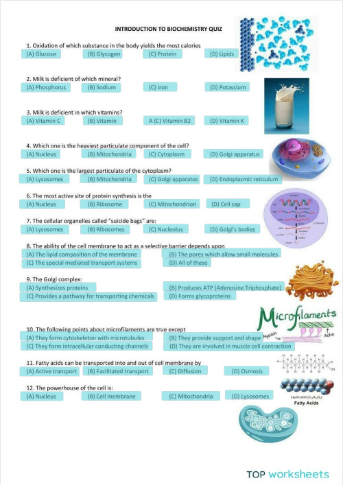 Introduction to Biochemistry. Interactive worksheet | TopWorksheets
