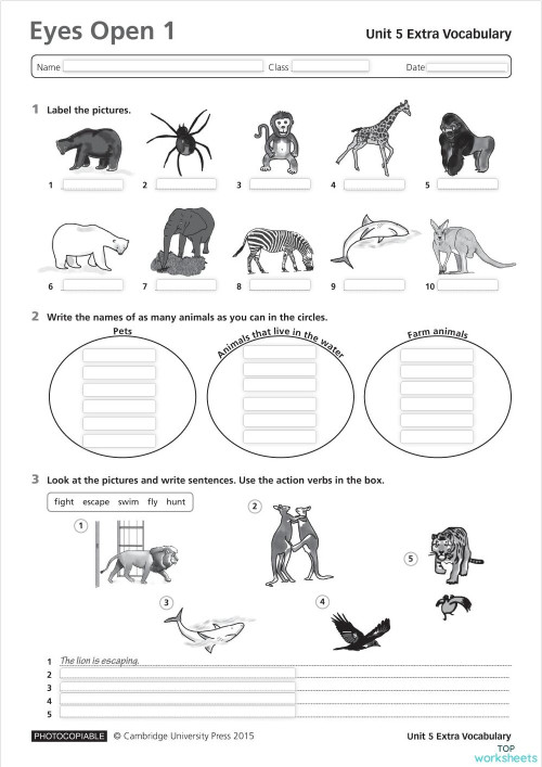 EO1 unit 5 vocabulary. Interactive worksheet | TopWorksheets