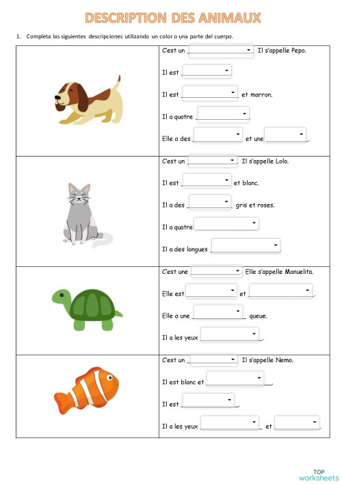 Description des animaux. Fiche interactive | TopWorksheets