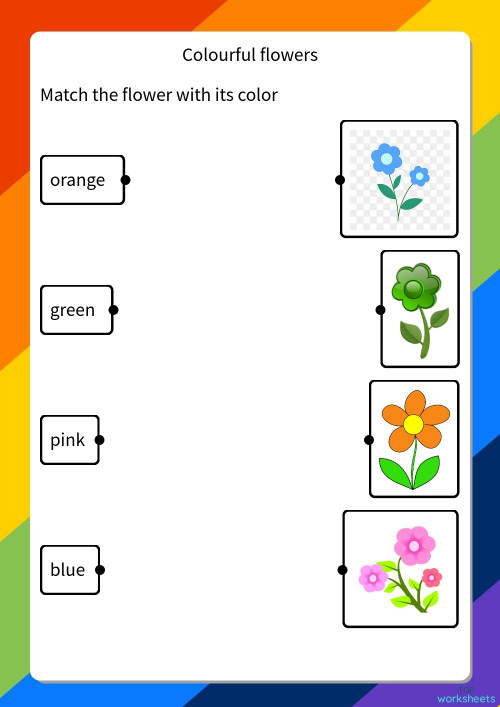 Colourful flowers. Interactive worksheet | TopWorksheets