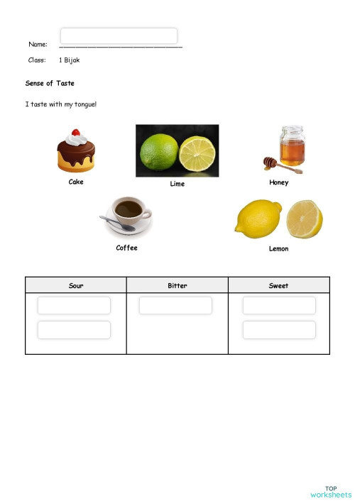 Week 9: Sense of Taste. Interactive worksheet | TopWorksheets