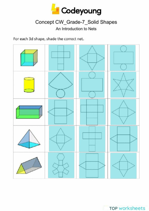 An Introduction to Nets Concept CW. Interactive worksheet | TopWorksheets