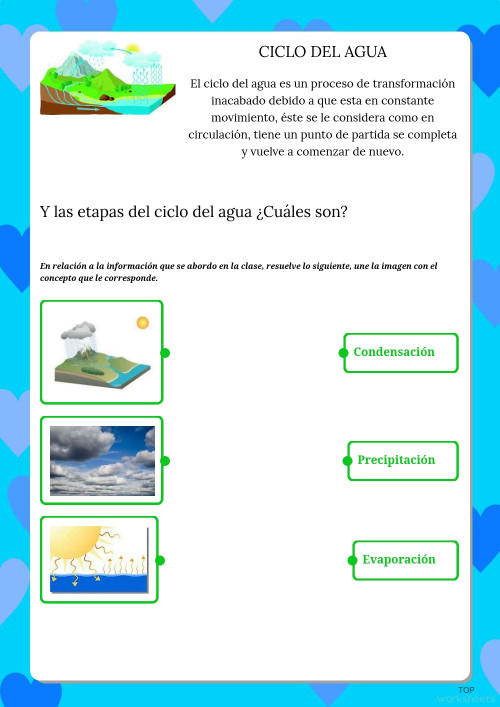 CICLO DEL AGUA. Ficha interactiva | TopWorksheets