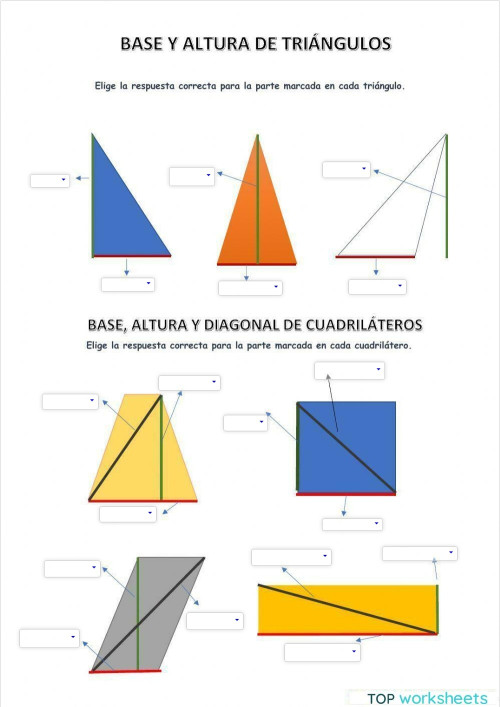 Altua y base de triángulos y cuadriláteros. Ficha interactiva ...