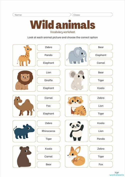 Brown White Illustrative Cute Wild Animals Worksheet. Interactive ...