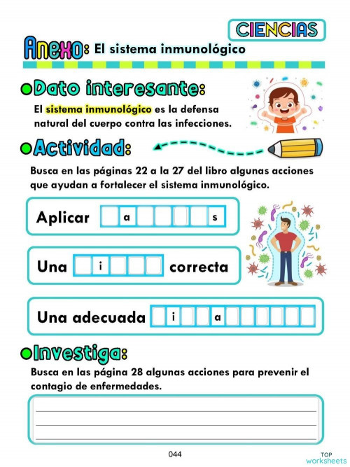 Hoja De Trabajo Del Sistema Inmunológico Para La Escuela Secundaria