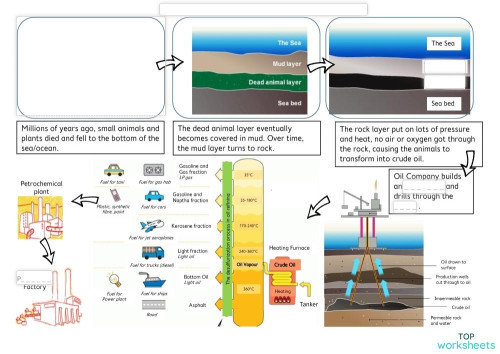 Where does plastic come from. Interactive worksheet | TopWorksheets