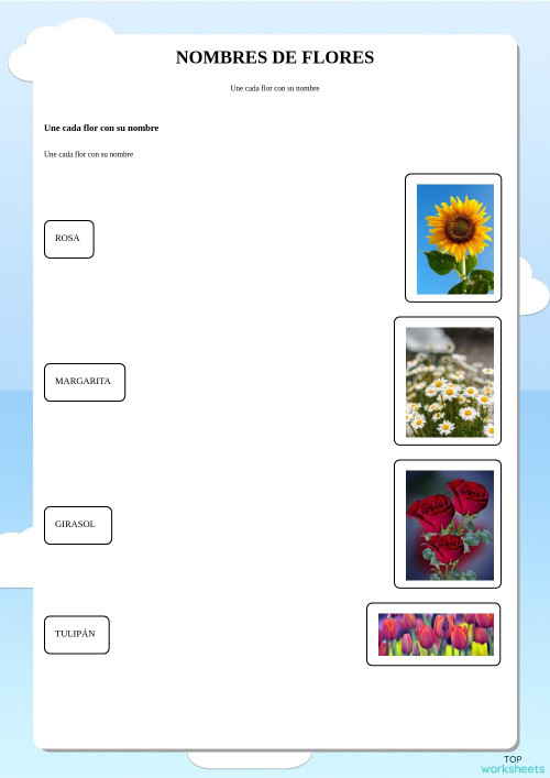 NOMBRES DE FLORES. Ficha interactiva | TopWorksheets