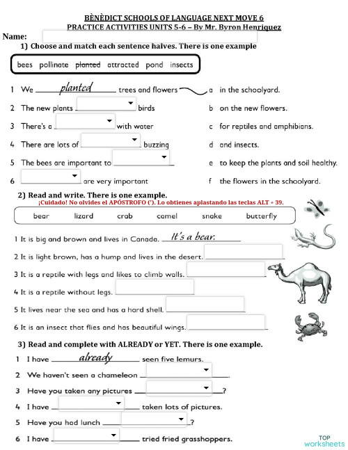 Kids Program 6 Practice Units 5-6.. Interactive worksheet | TopWorksheets