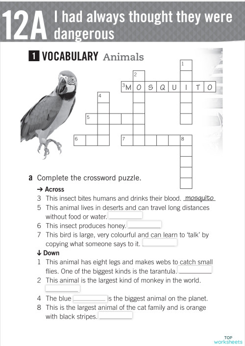 ADULTS B1: interactive worksheets and online exercises | TopWorksheets