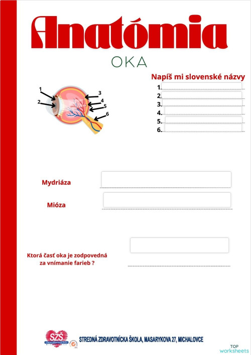 Interactive worksheets and online exercises in slovak | TopWorksheets