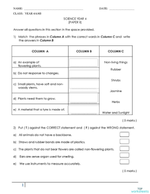 Year 4 PP2 PT1.1. Interactive worksheet | TopWorksheets