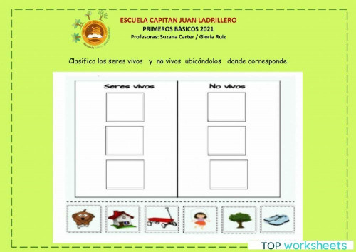 Clasificacion seres vivos- no vivos. Ficha interactiva | TopWorksheets